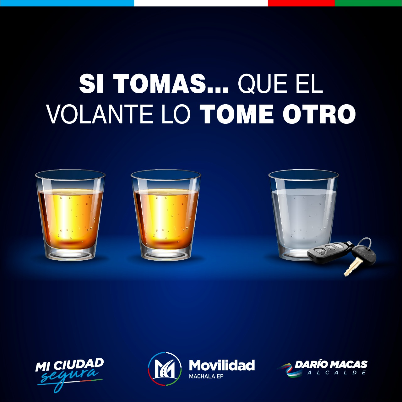 Conductor Designado – Movilidad Machala EP